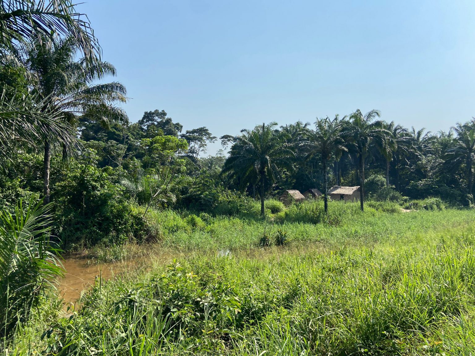 Food Practices and Agriculture